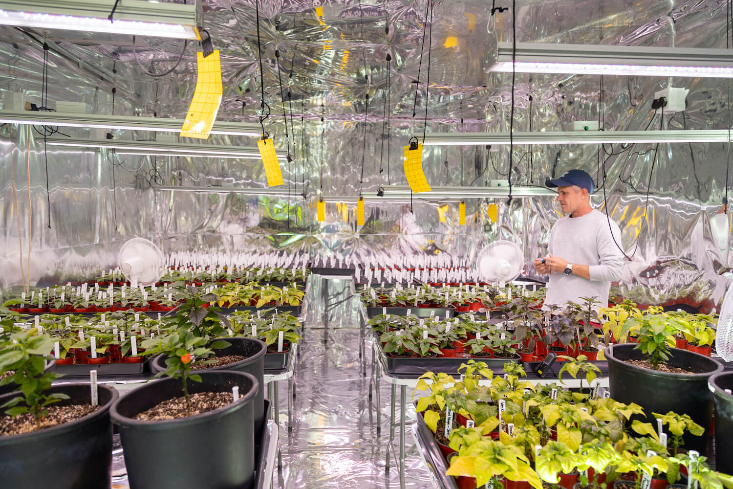 Grow Solutions